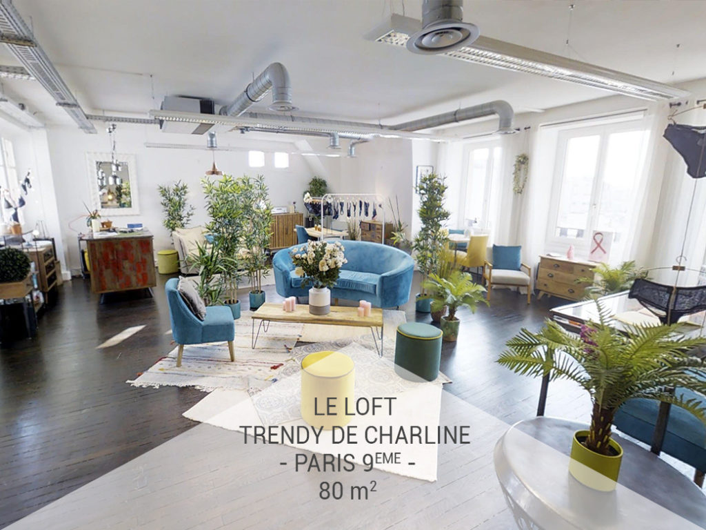 Le Loft Sous Verrière, Paris 11e - Le Site Des Lofts